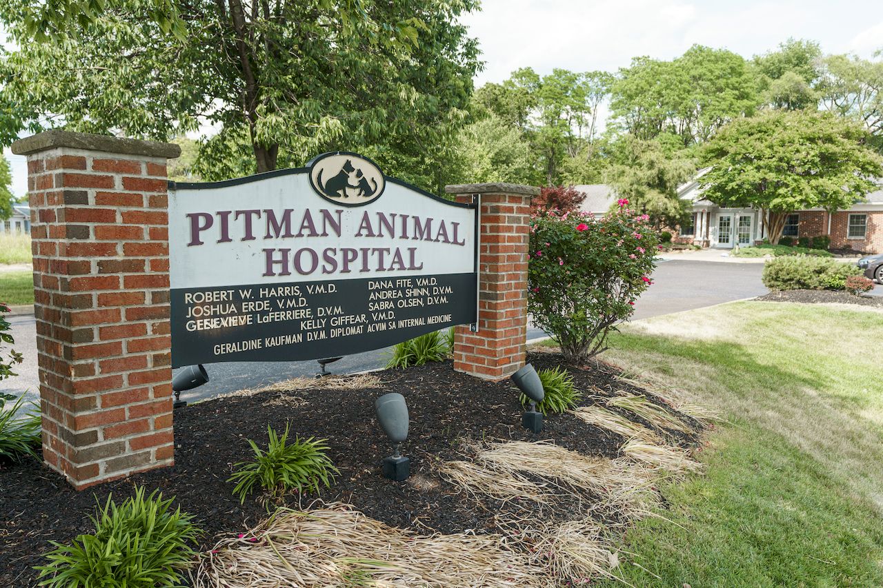 About Us - Pitman Animal Hospital